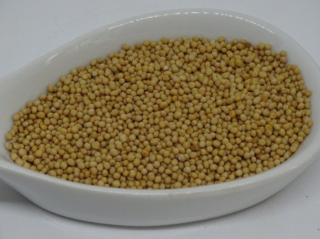 Senf gelb bio - Heilkräuter-Shop Kräuter Crämer